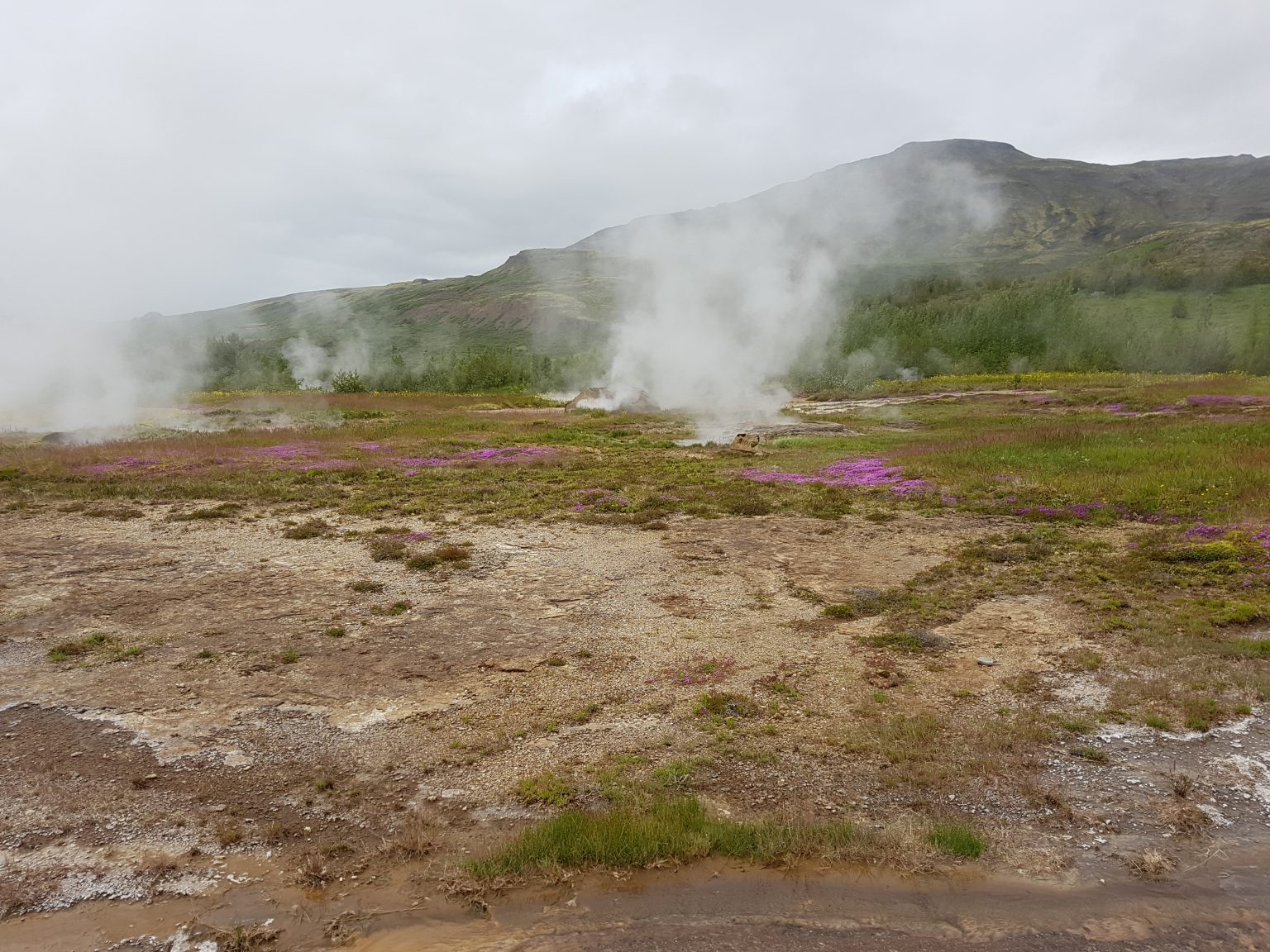 Geothermal Heating with Geothermal Heat Pumps - Heat Pumps Scotland